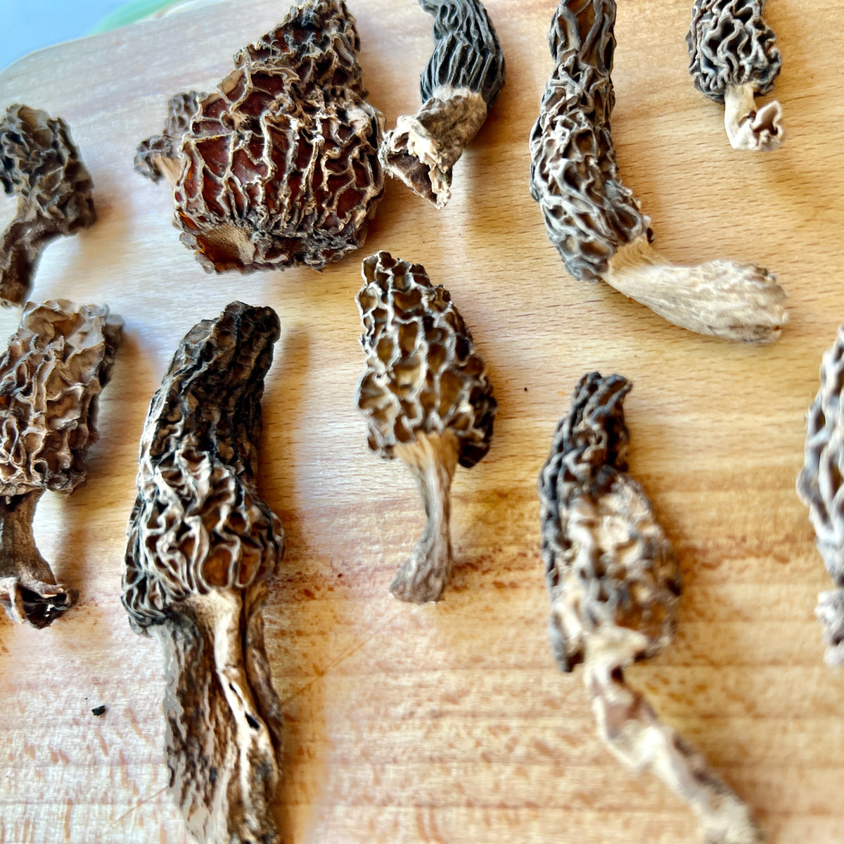 Dried Morel Mushrooms – Cheese Shop Santa Barbara